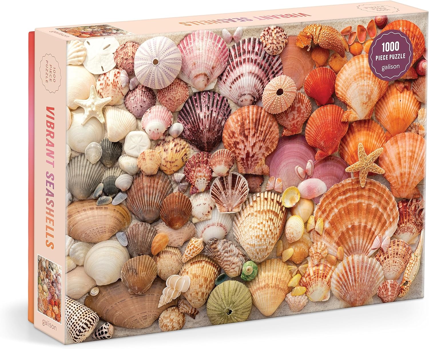 Vibrant Seashells 1000 Piece Puzzle – Outdo Homestore
